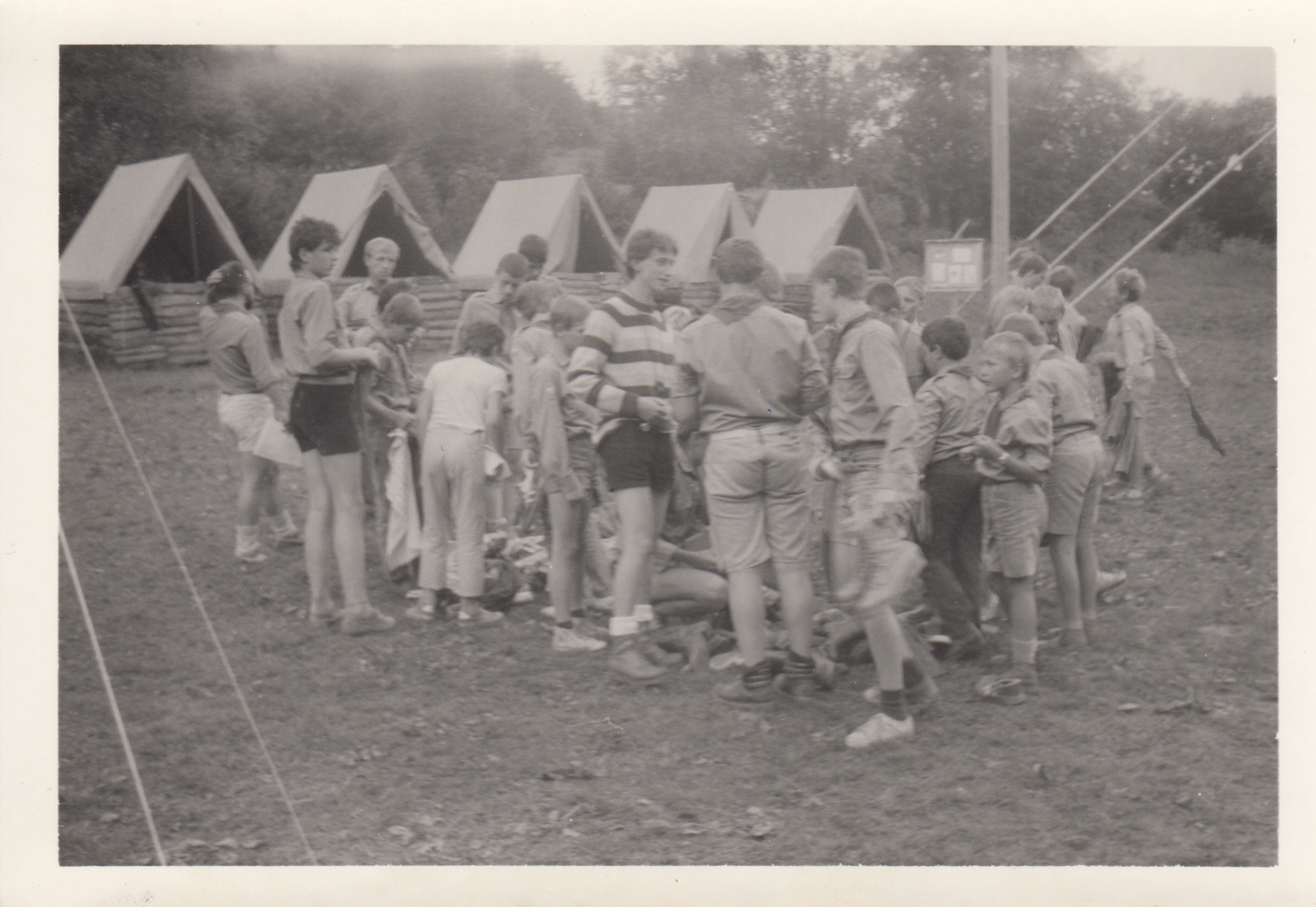 Martin Ehrlich (1966)